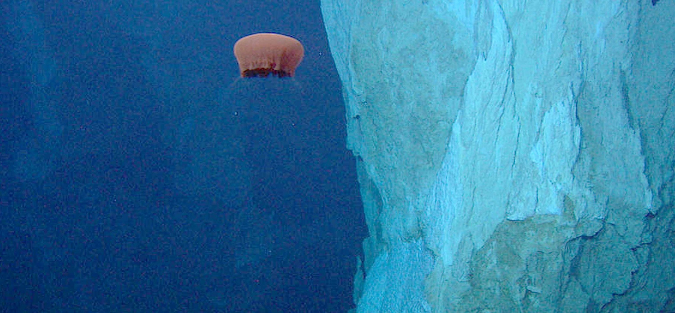 GREENPEACE REPORT: Tiefseebergbau bedroht marine Ökosysteme ...